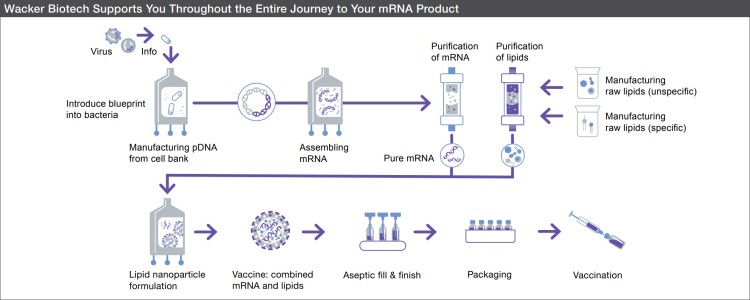 mRNA Production - Wacker Chemie AG