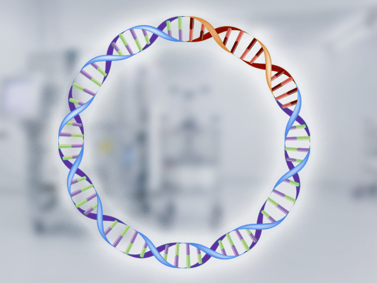 Plasmid DNA Manufacturing - Wacker Chemie AG
