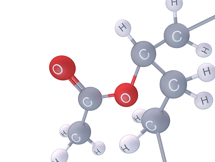 Polymer Dispersions - Wacker Chemie AG