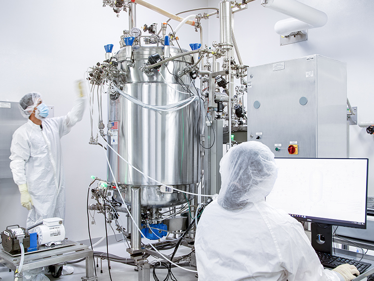 PLASMITEC®: Wacker Biotech’s Plug-and-Play Platform for pDNA ...