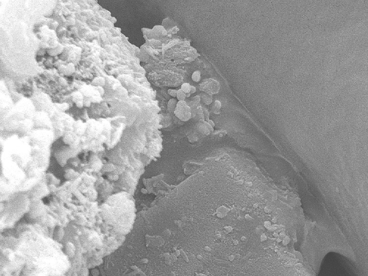 Polymer Powders - Wacker Chemie AG